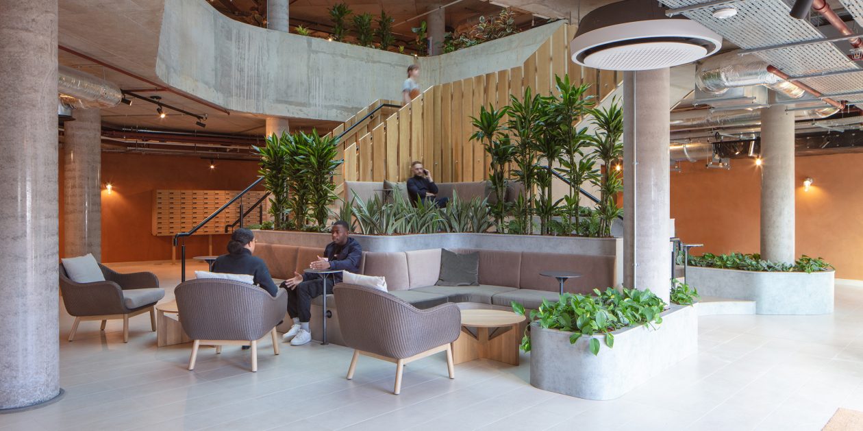 Sunday Mills Interiors | Assael