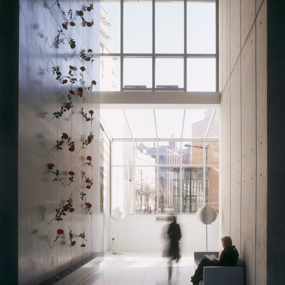 Great Northern Tower | Assael