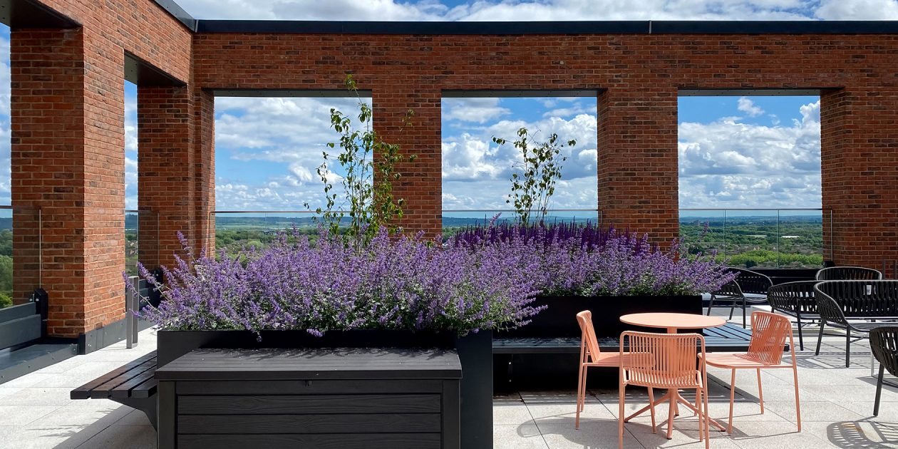 The Almere Landscape | Assael