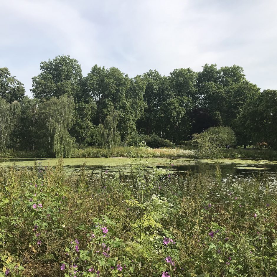 We need to ‘rewild’ our cities | Assael