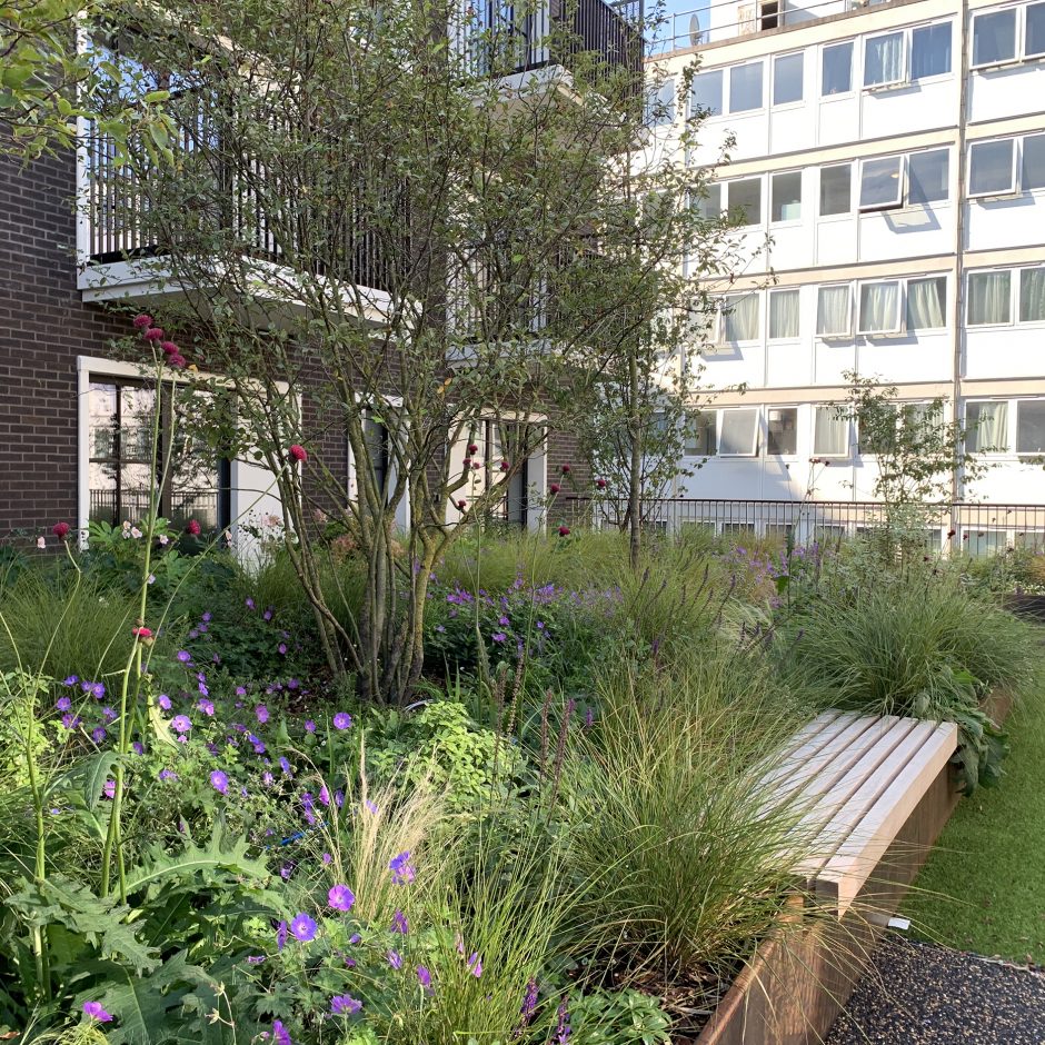 101 on Cleveland Landscape | Assael